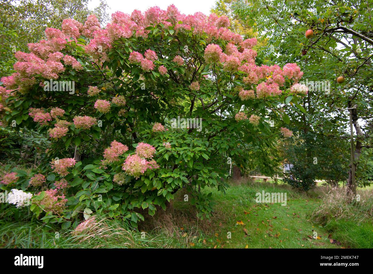 Visualizing architectural hi-res stock photography and images - Alamy