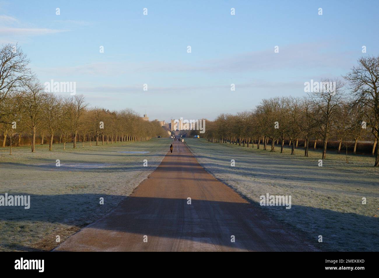 Windsor Great Park and the Long Walk - a morning in January Stock Photo ...