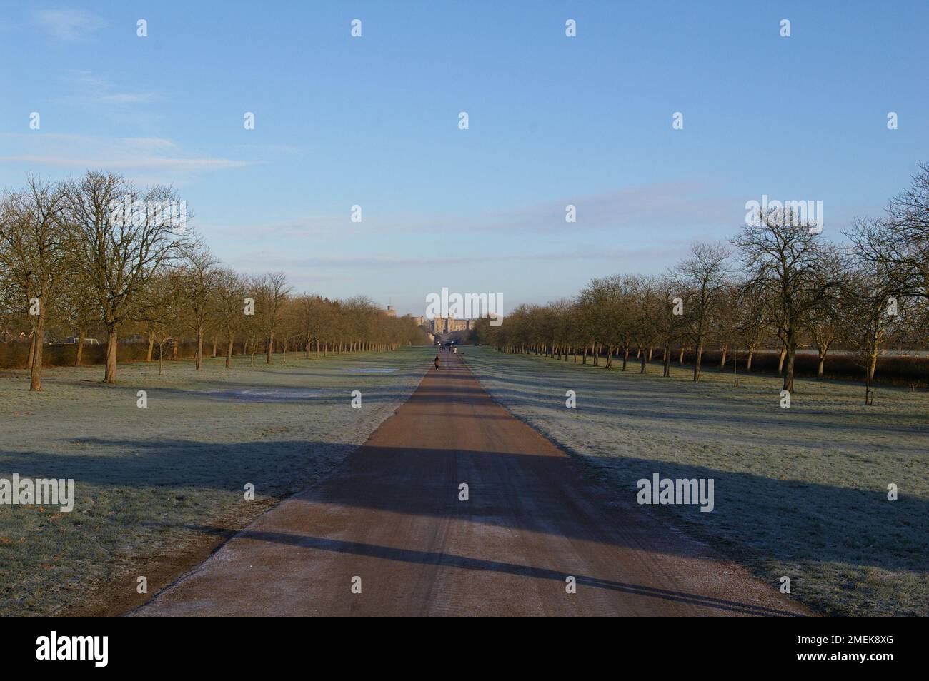 Windsor Great Park and the Long Walk - a morning in January Stock Photo ...