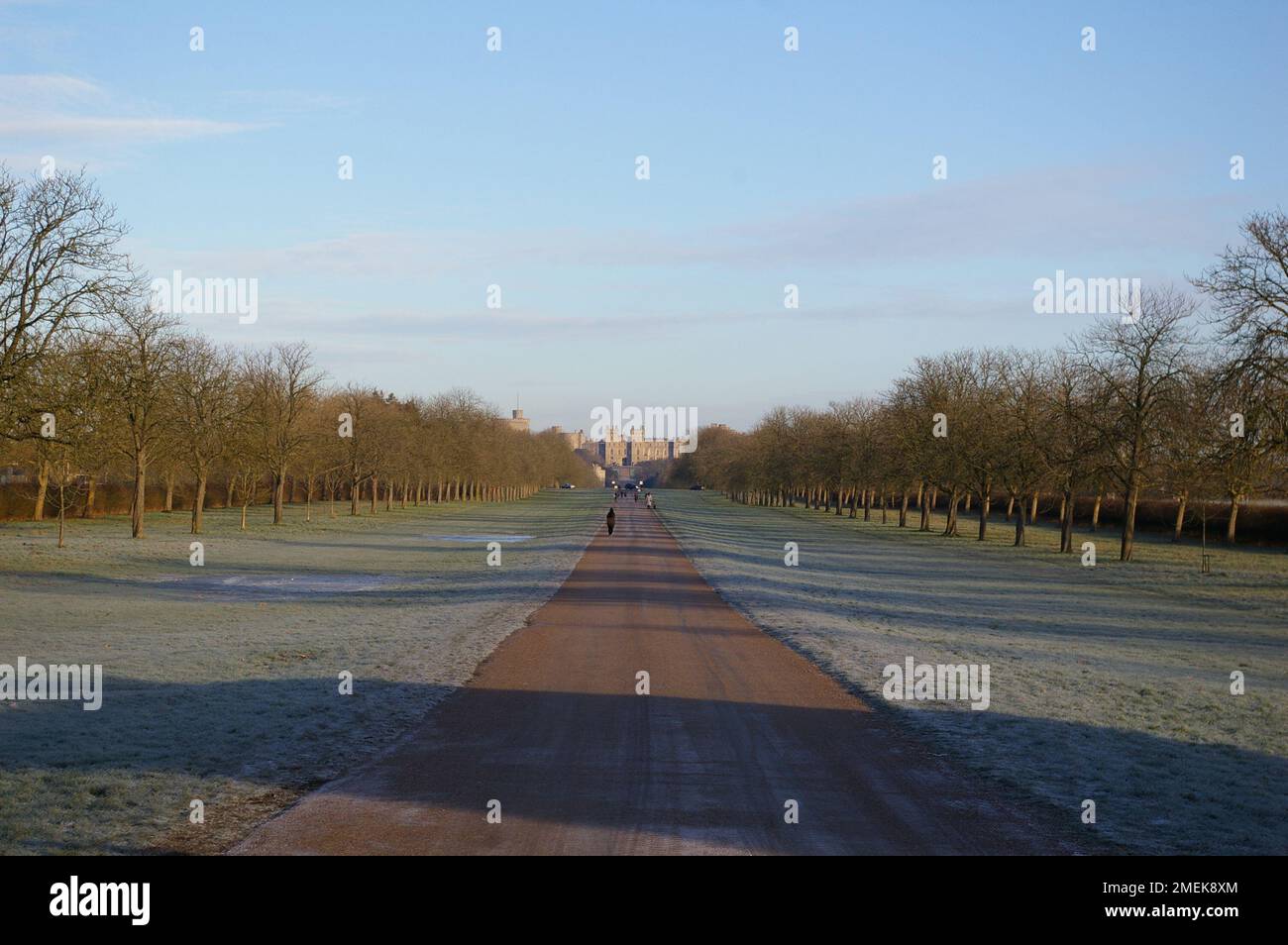 Windsor Great Park and the Long Walk - a morning in January Stock Photo ...