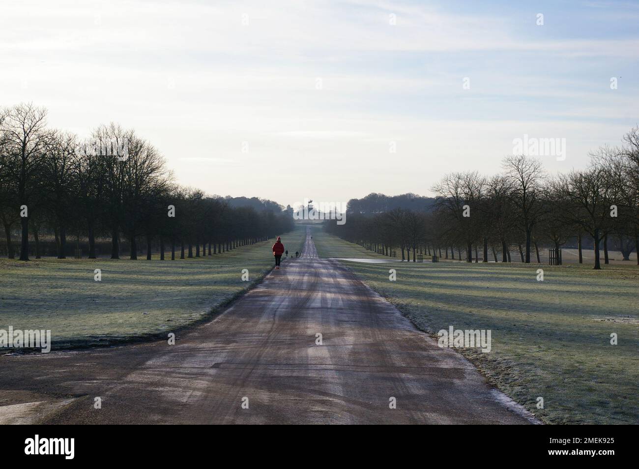Windsor great park long walk winter hi-res stock photography and images ...