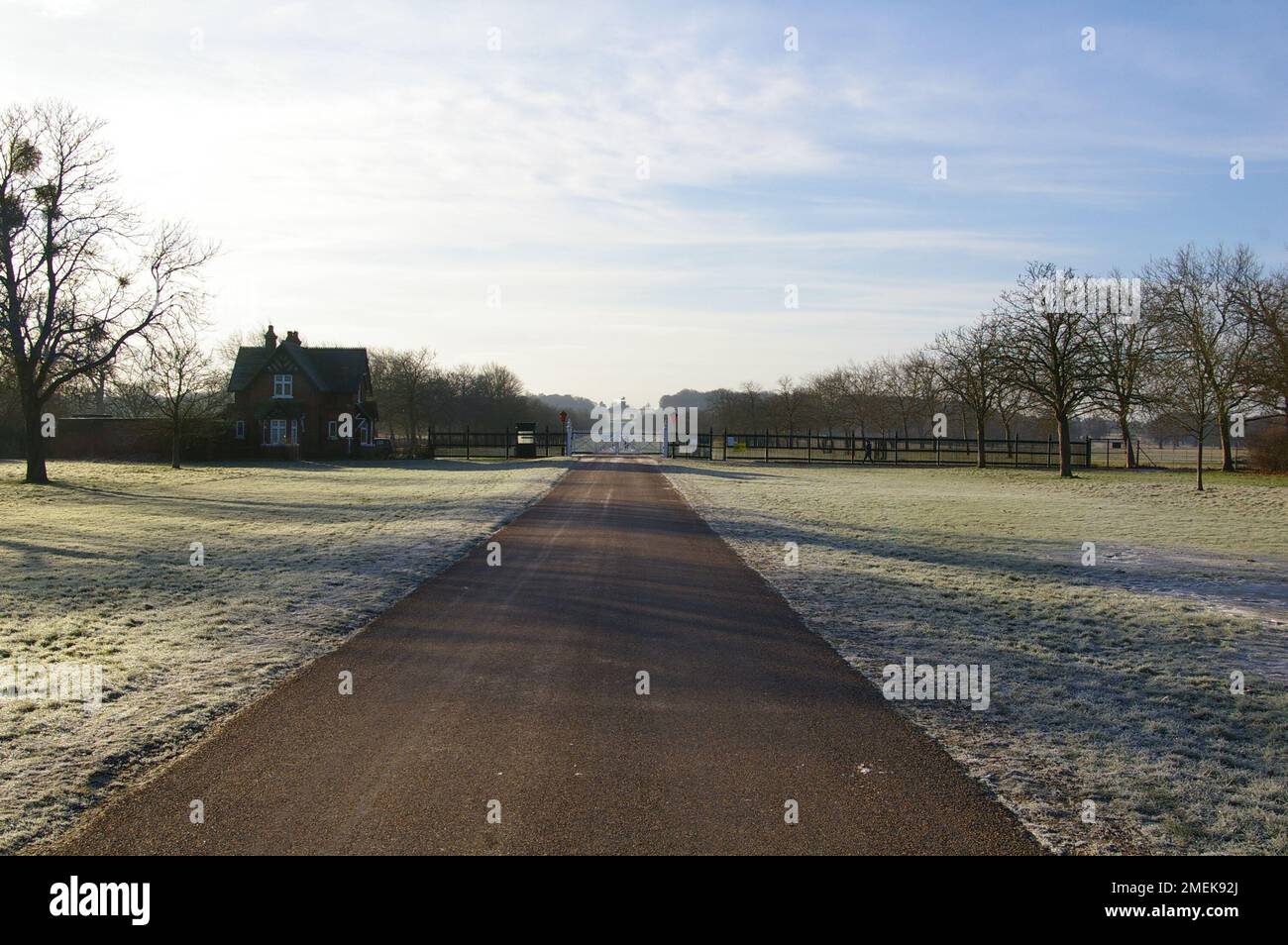 Windsor Great Park and the Long Walk - a morning in January Stock Photo ...