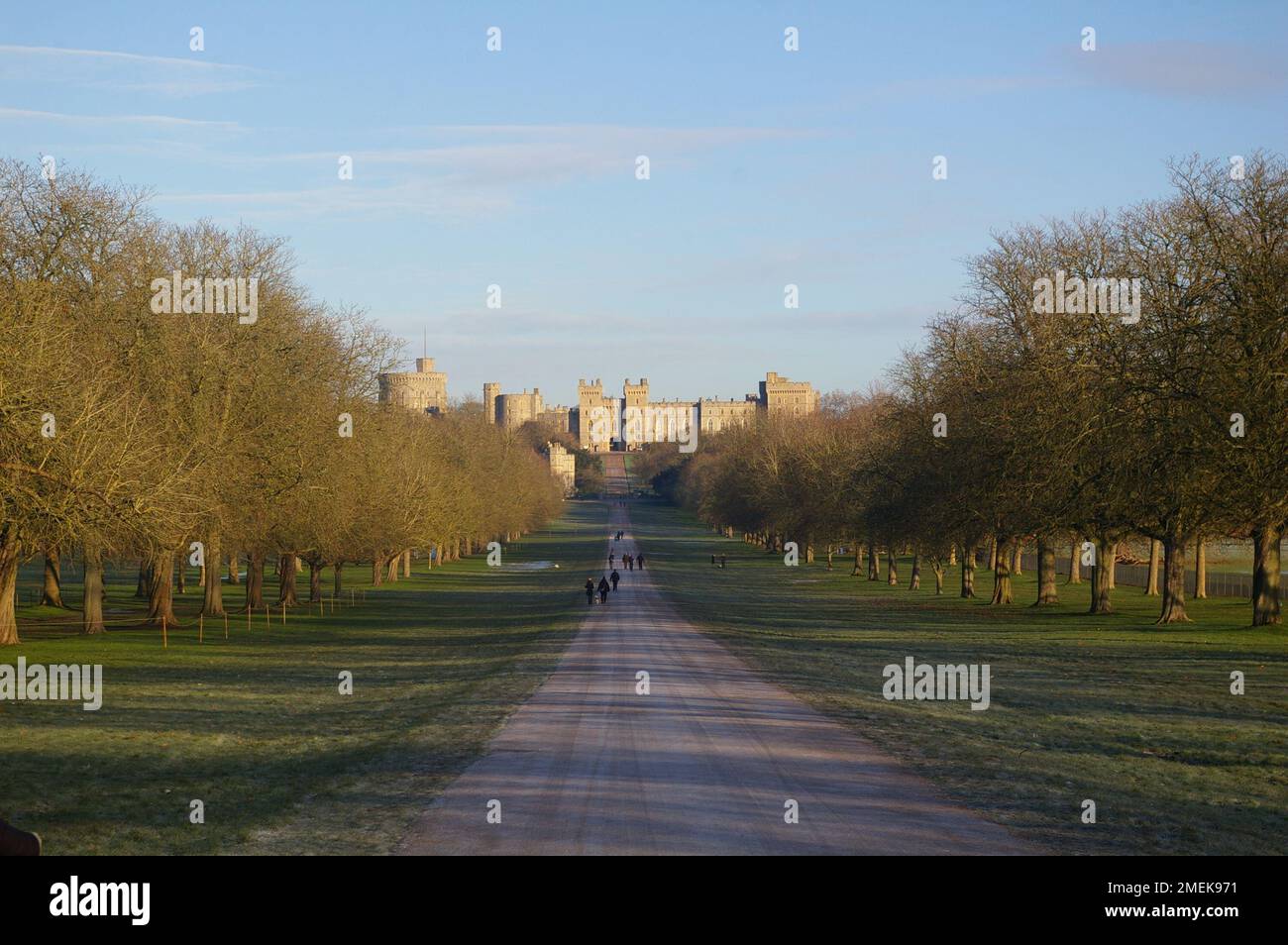 Windsor Great Park and the Long Walk - a morning in January Stock Photo ...