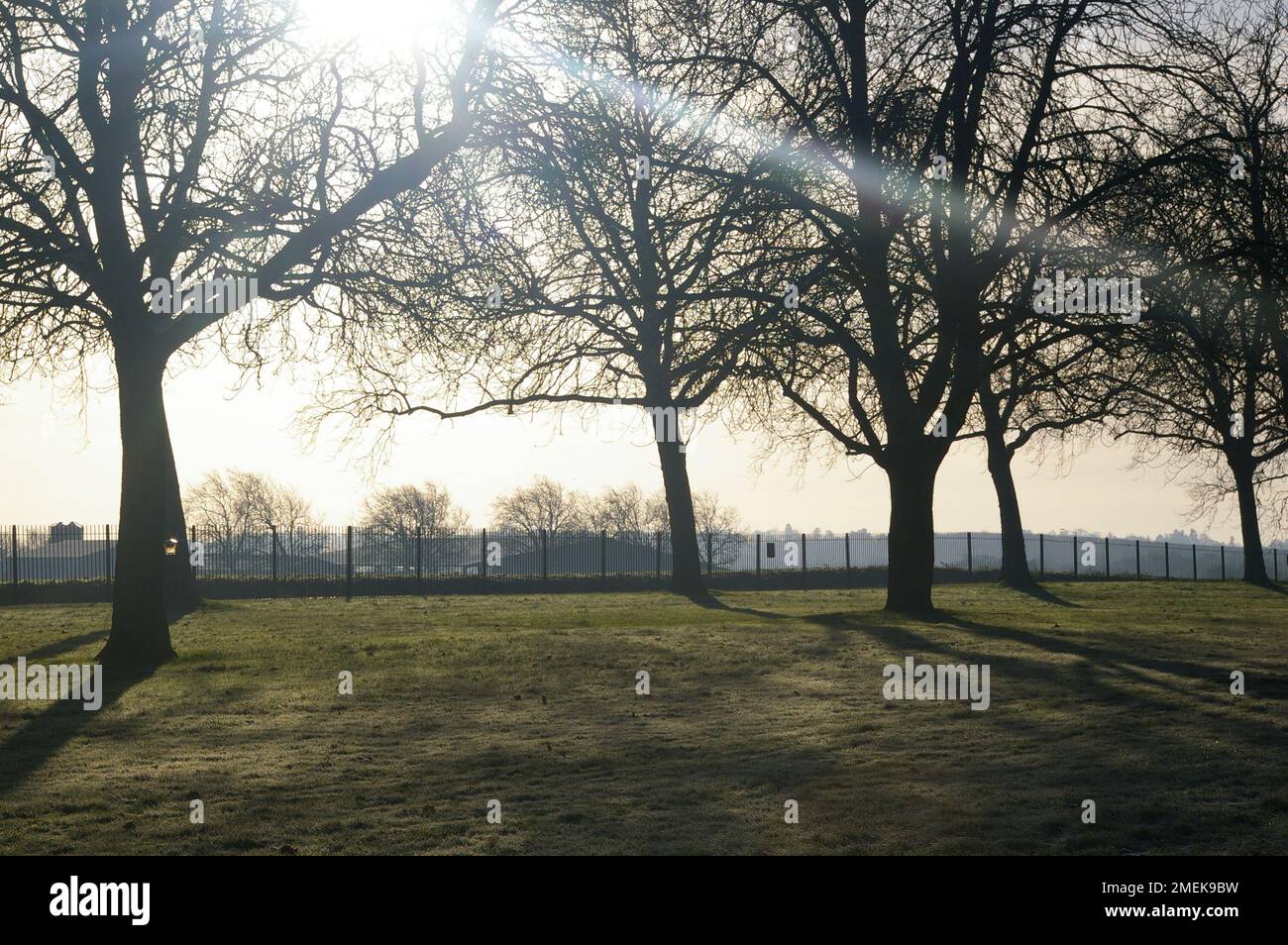 Windsor Great Park and the Long Walk - a morning in January Stock Photo ...