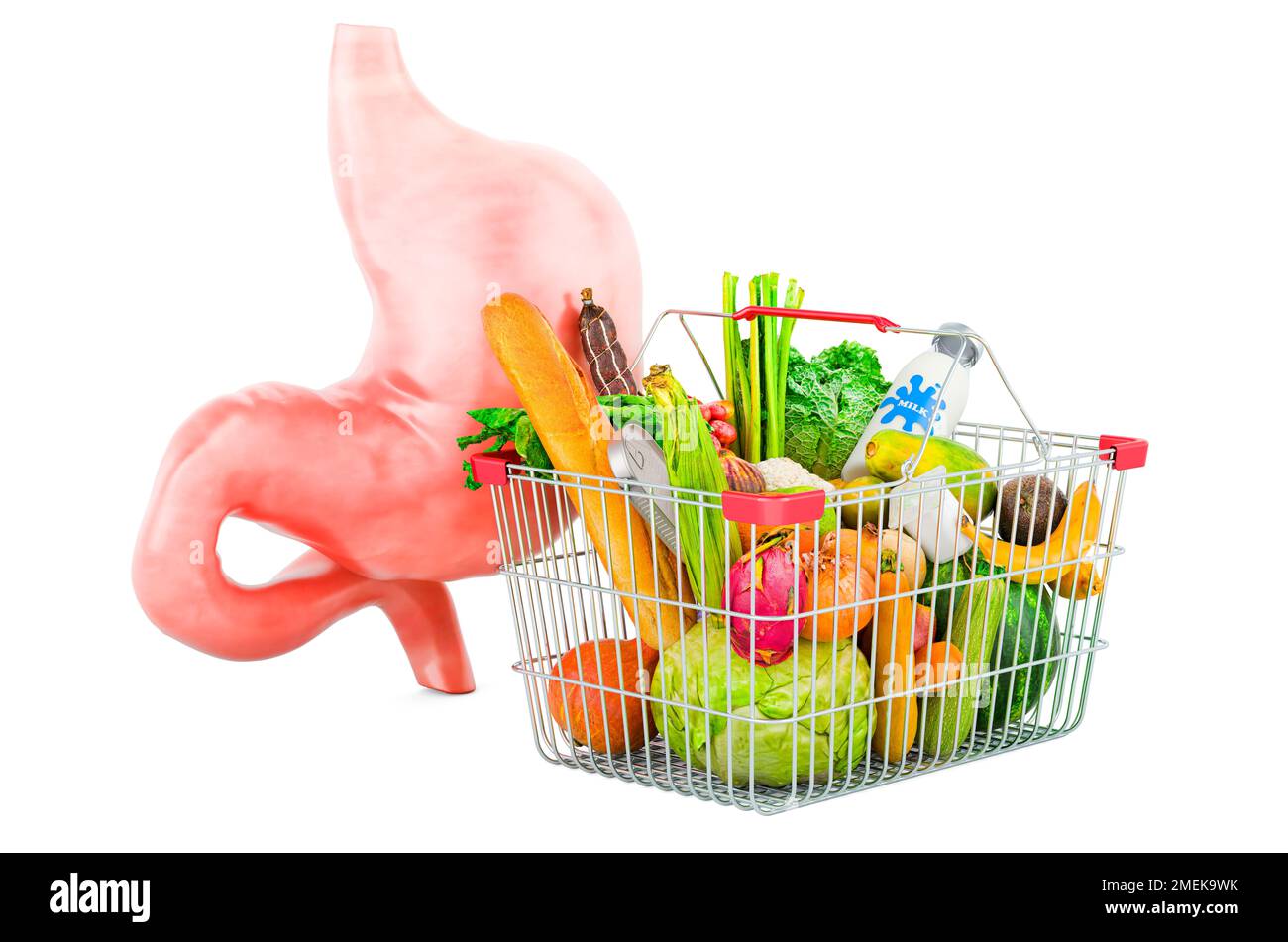 Food for stomach. Diet for a Healthy Digestive System concept. Shopping ...