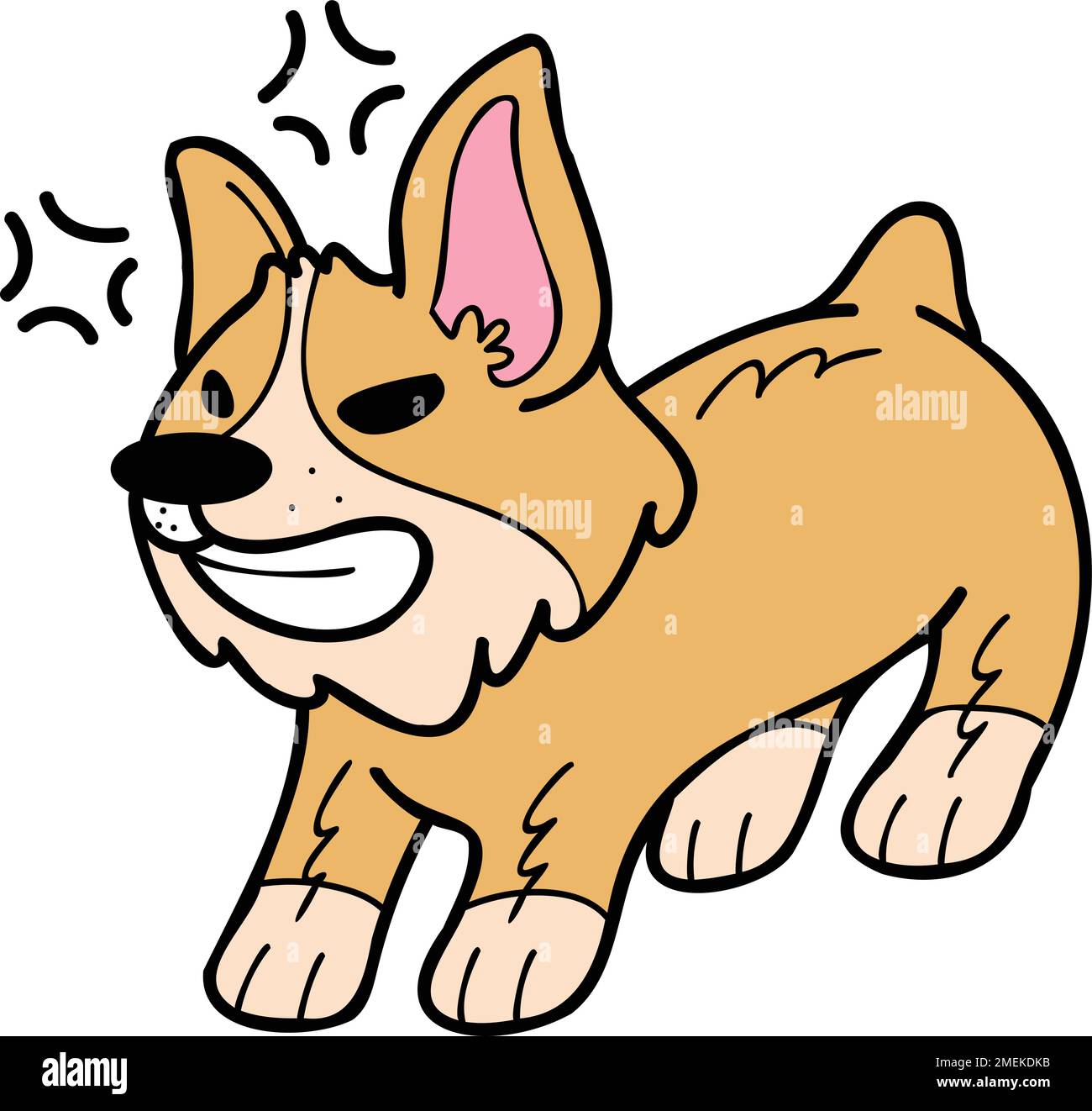 Hand Drawn angry Corgi Dog illustration in doodle style isolated on ...