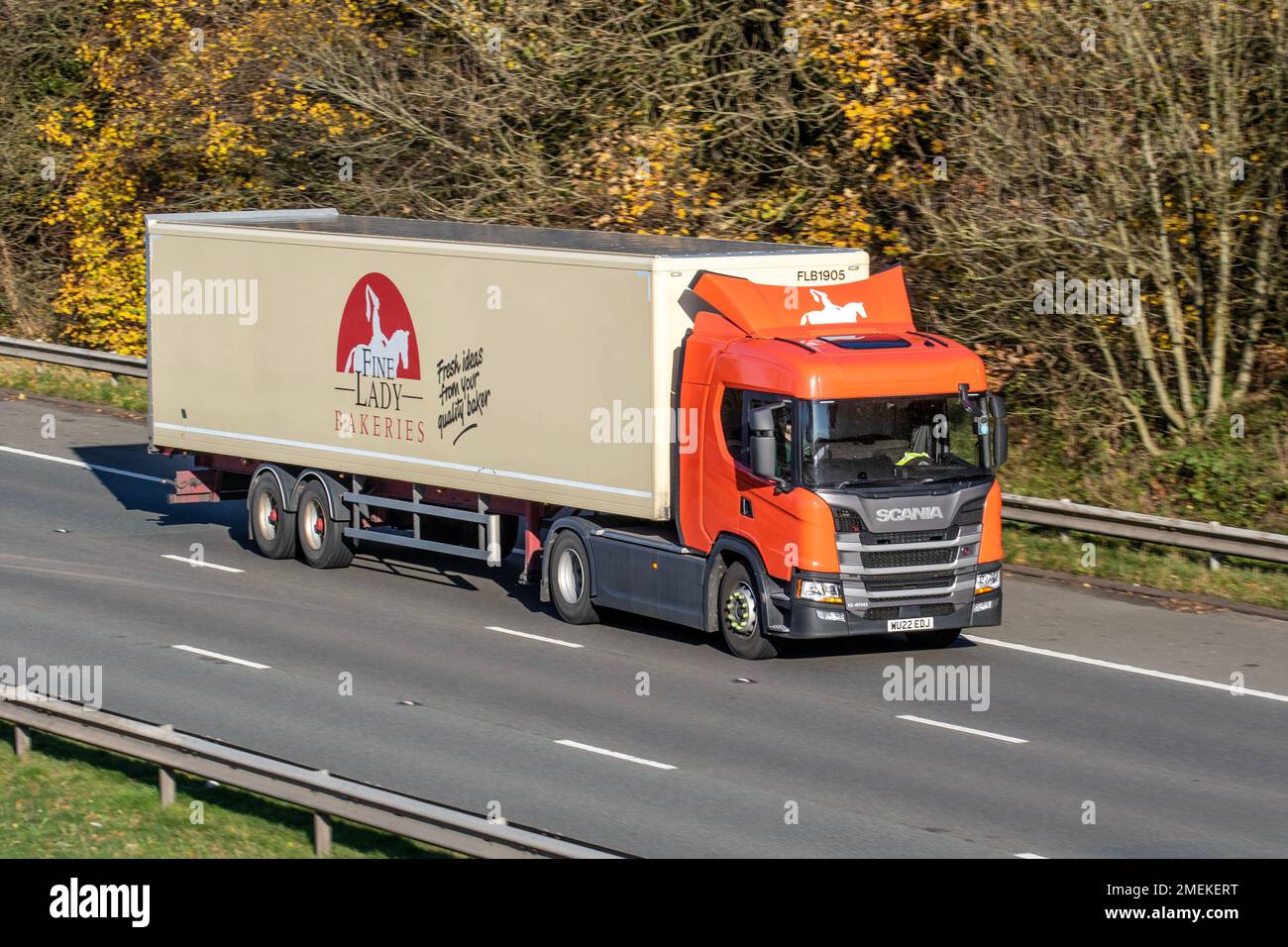 FINE LADY BAKERIES, Manufacturer of bread fresh pastry goods and cakes ...