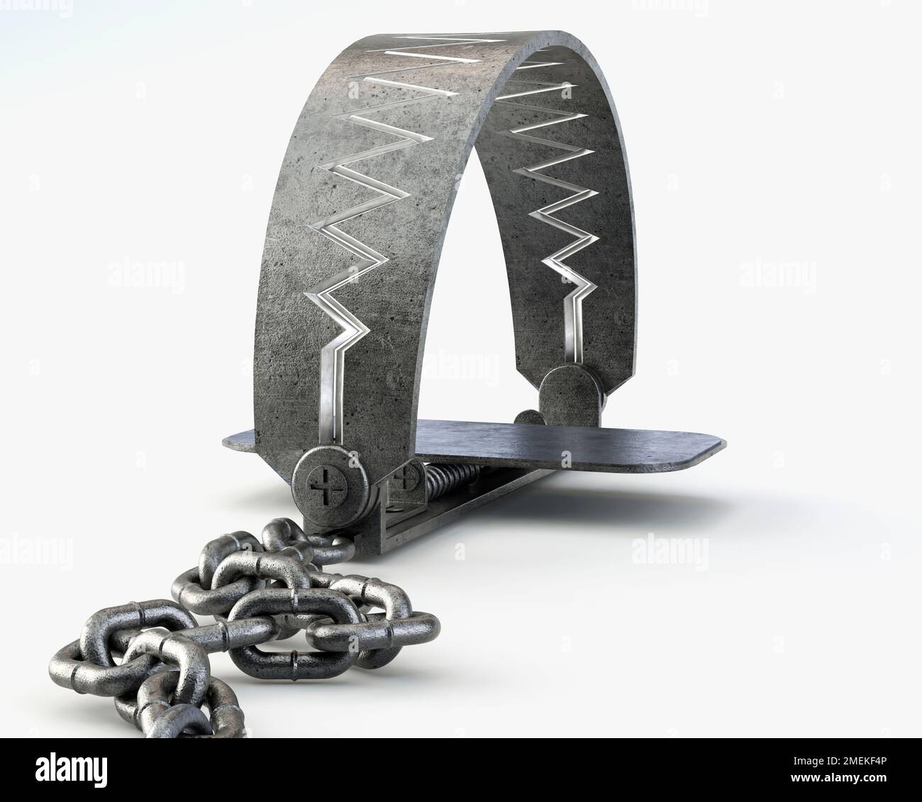 An open metal animal hunting trap attached to the ground with a metal ...