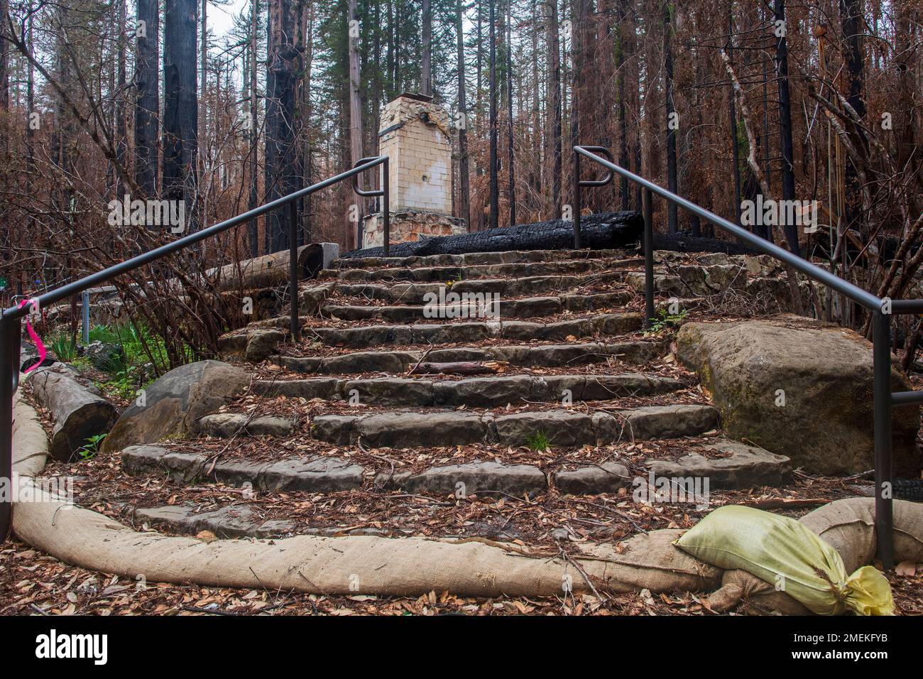 Damage from the 2020 CZU Lightning Complex Fire is seen at Big Basin ...