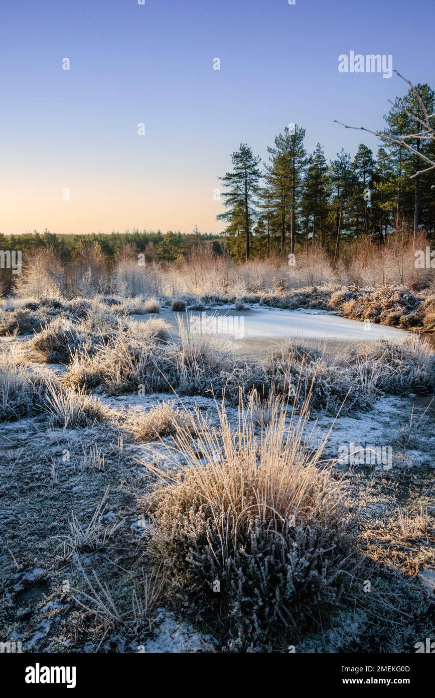 Winter sunrise at the Cleddon Nature Reserve in the lower Wye Valley ...