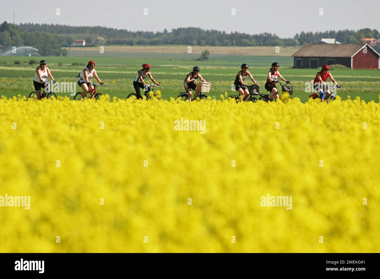 Tjejvättern bicycle race, Motala, Sweden Stock Photo - Alamy