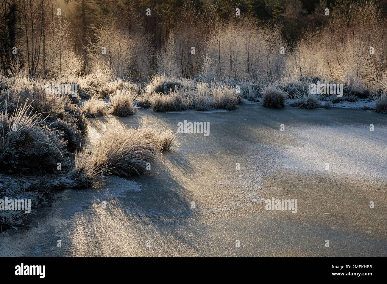 Winter sunrise at the Cleddon Nature Reserve in the lower Wye Valley ...