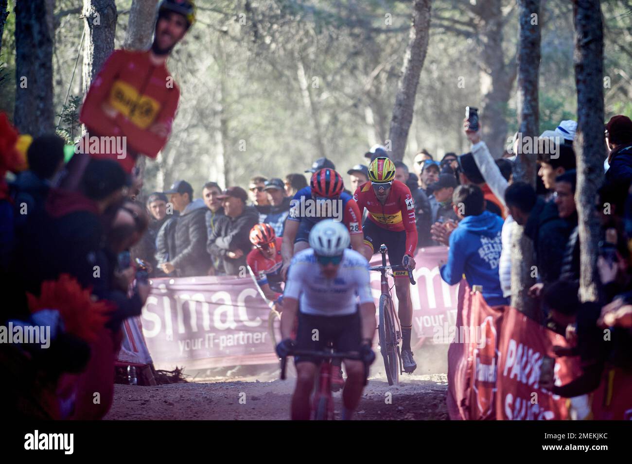 Baloise trek lions hi-res stock photography and images - Alamy