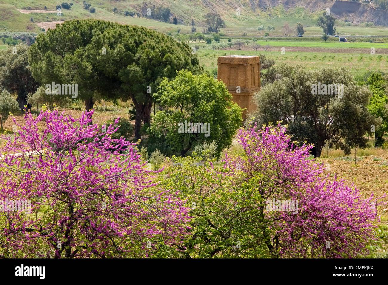 The Tomb of Theron, Tomba di Terone, in the Valley of the Temples ...