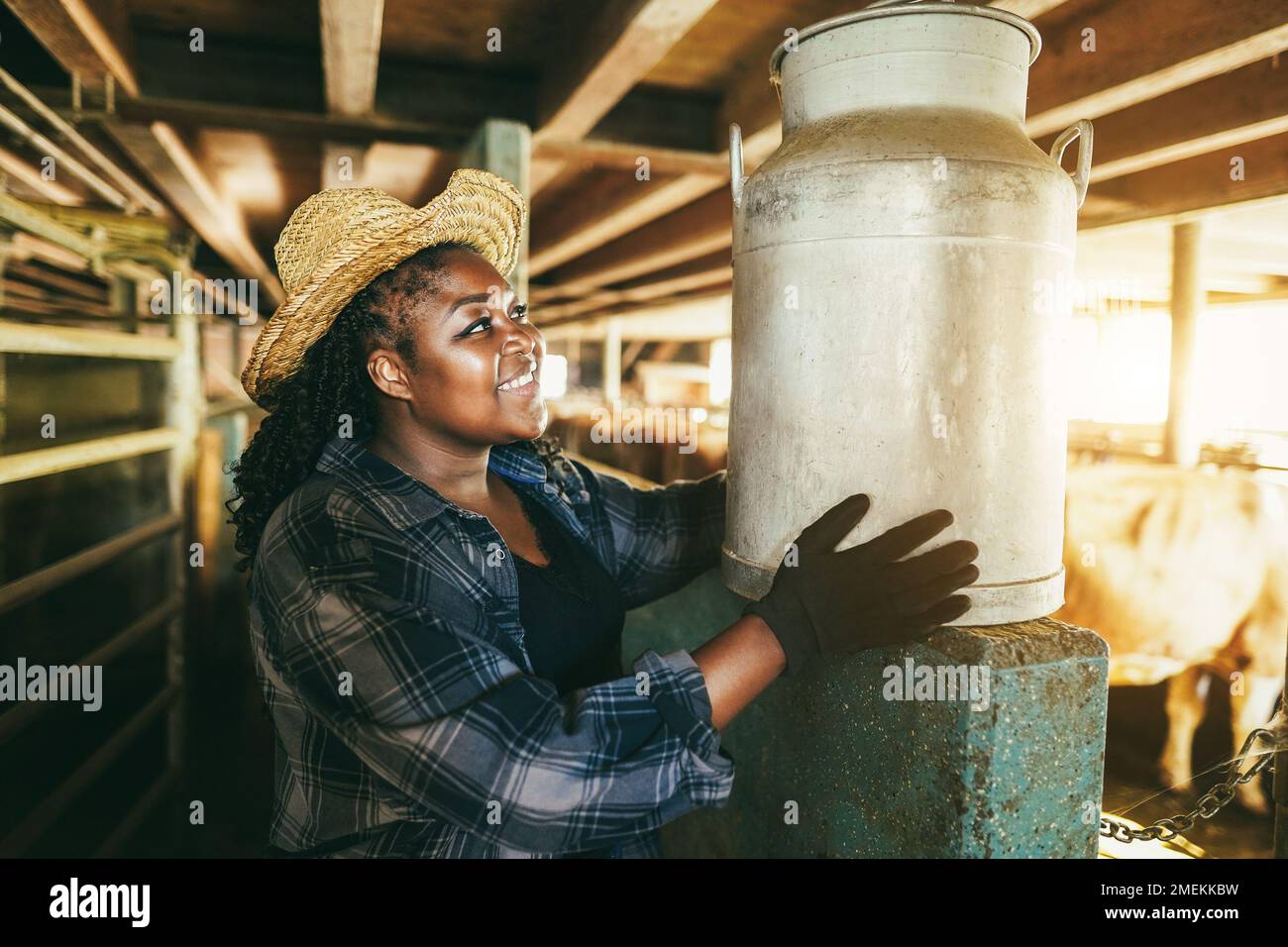 Young african farmer woman holding milk churn inside cowshed - Soft ...