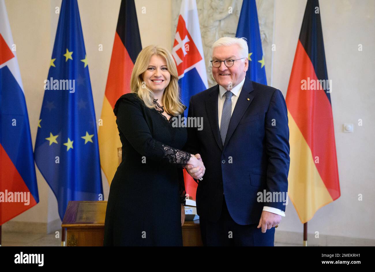 Berlin, Germany. 24th Jan, 2023. German President Frank-Walter ...
