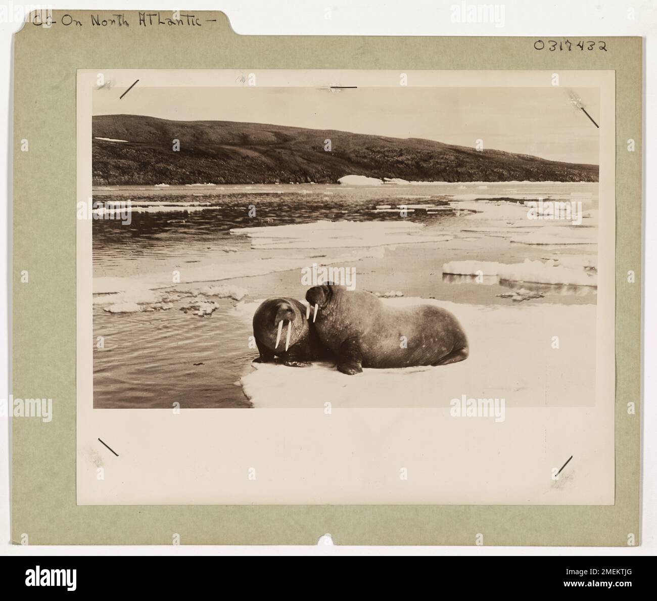 Coast Guardsmen on North Atlantic patrol take a picture of the bleak ...