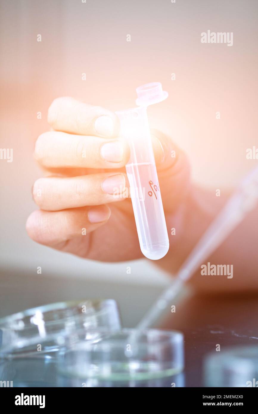 A huma hand holding test tube Stock Photo - Alamy