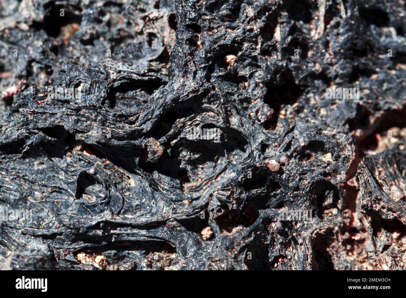Hardened soil hi-res stock photography and images - Alamy