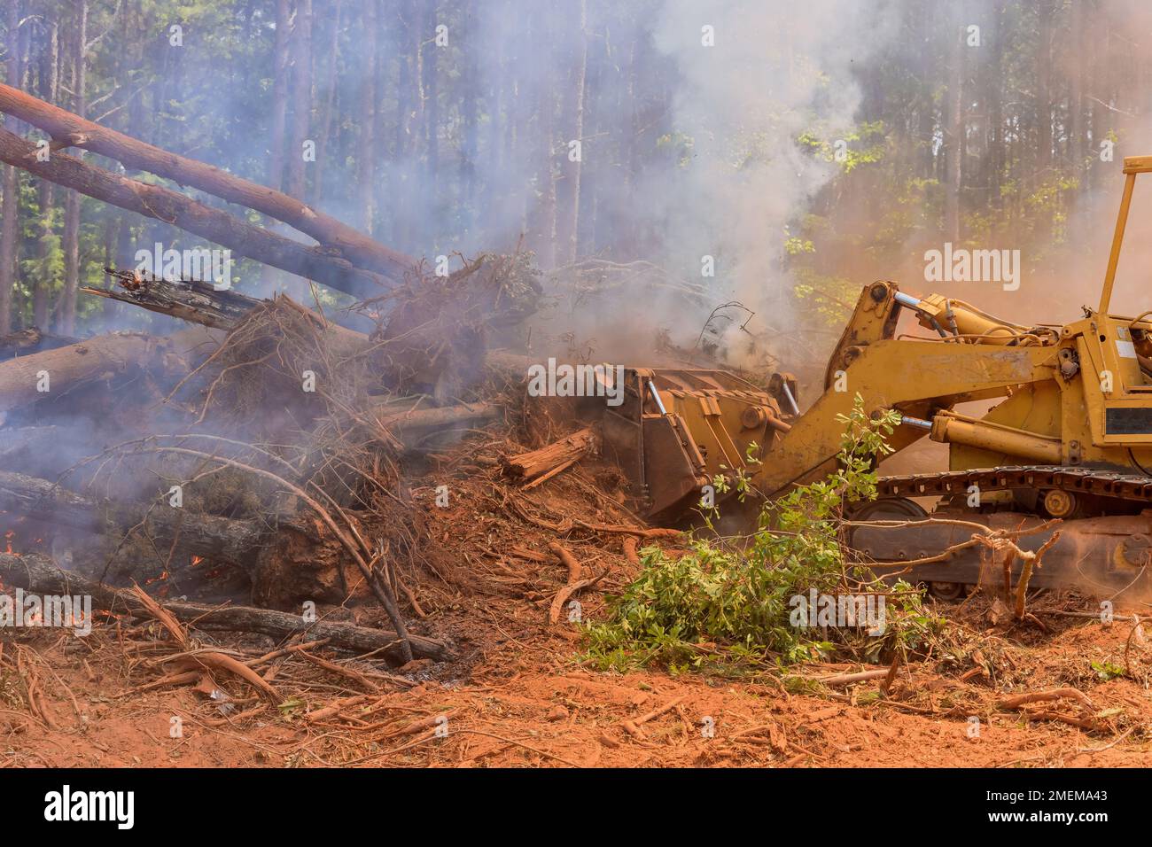 In construction site lot of uprooted forest is being burned for ...
