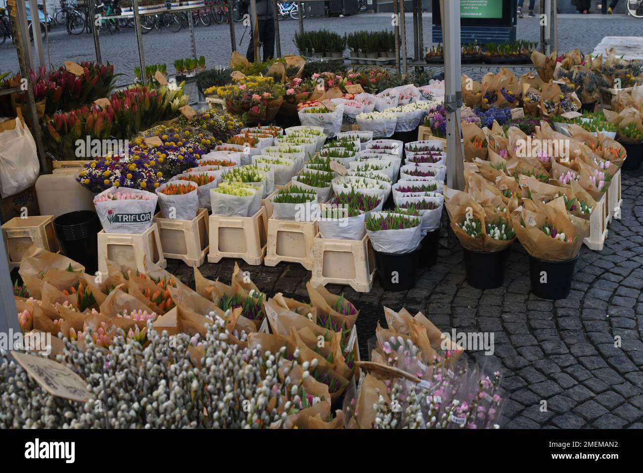 Copenhagen/Denmark/24 January 2023/Flower vendor christianshan torv in ...