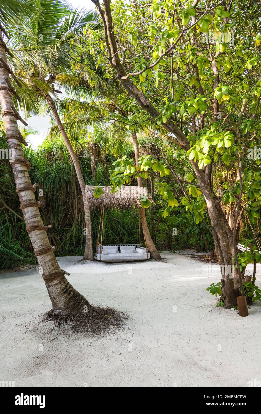 A tree swing bench, Baa Atoll, Maldives Stock Photo - Alamy