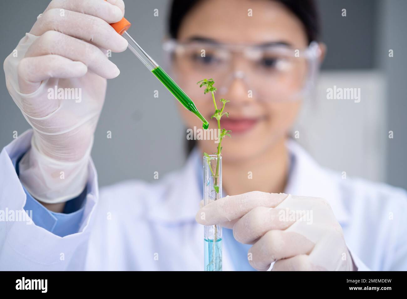 Female scientist holding petri dish with plant and soil sample over ...