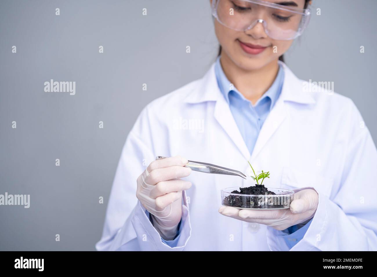 Female scientist holding petri dish with plant and soil sample over ...