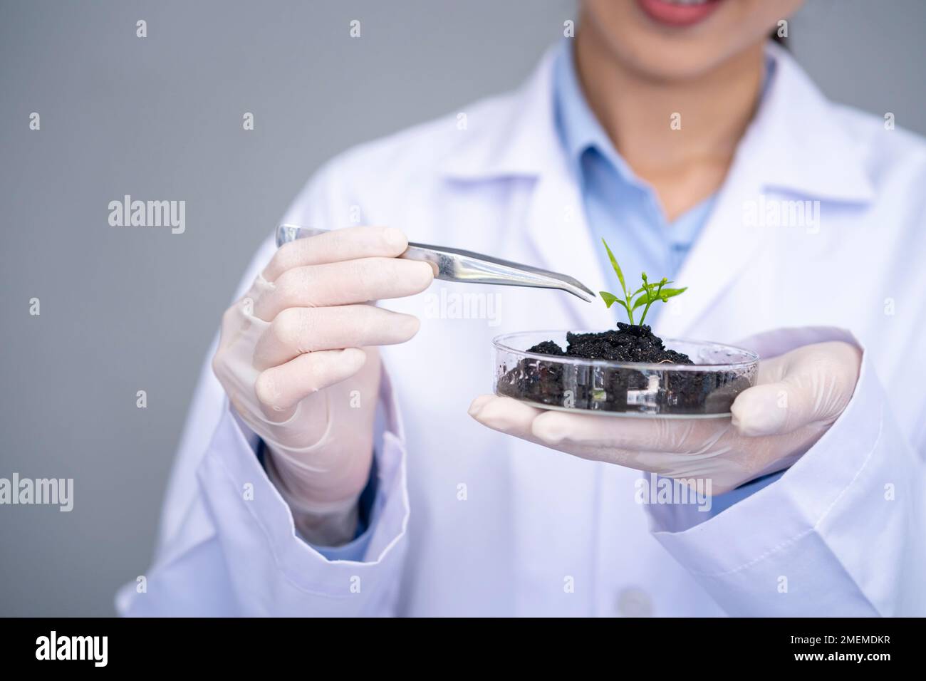 Female scientist holding petri dish with plant and soil sample over ...