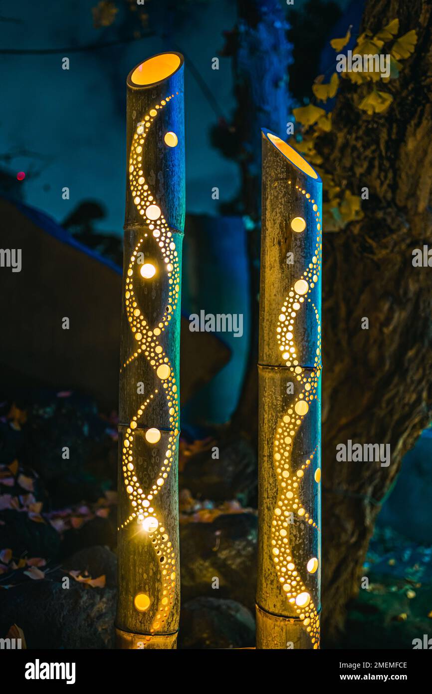 Winter lights at Ushijima Shrine 2023 Stock Photo - Alamy