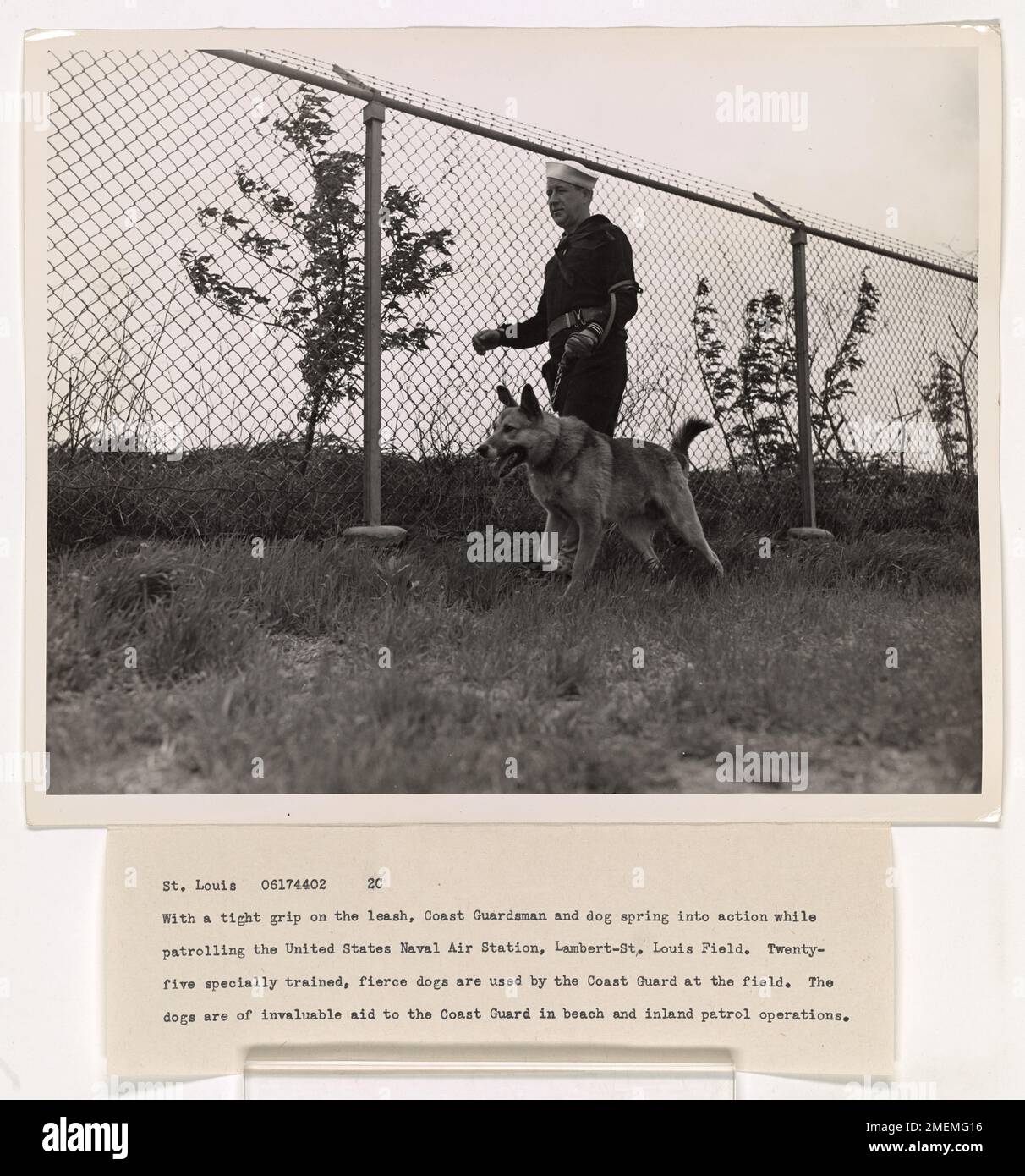 A Coast Guardsman and his trained dog spring into action while ...