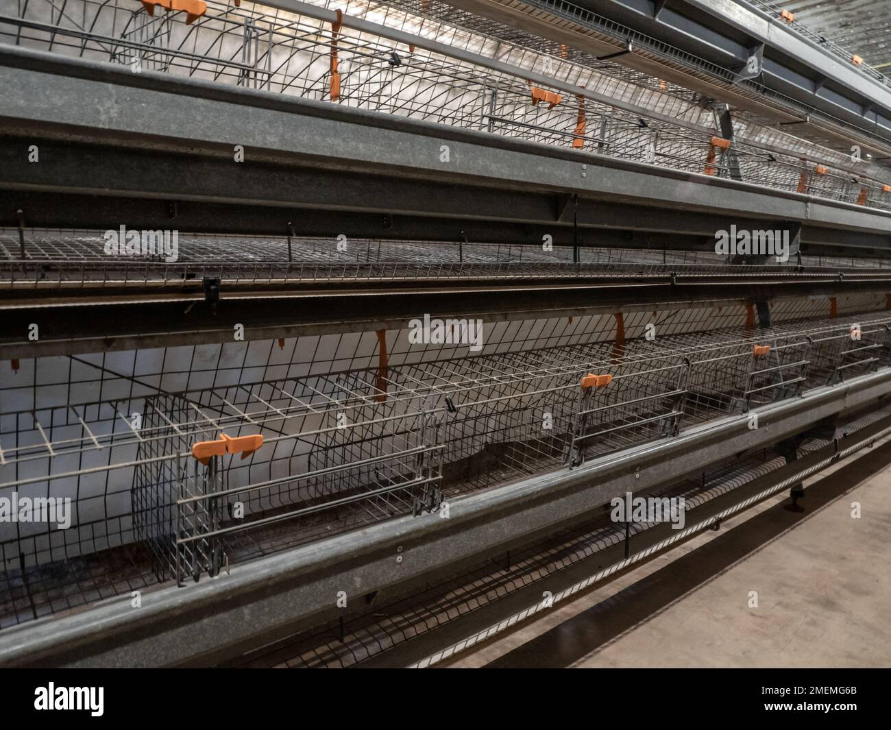 The empty laying cages in the chicken farm Stock Photo - Alamy
