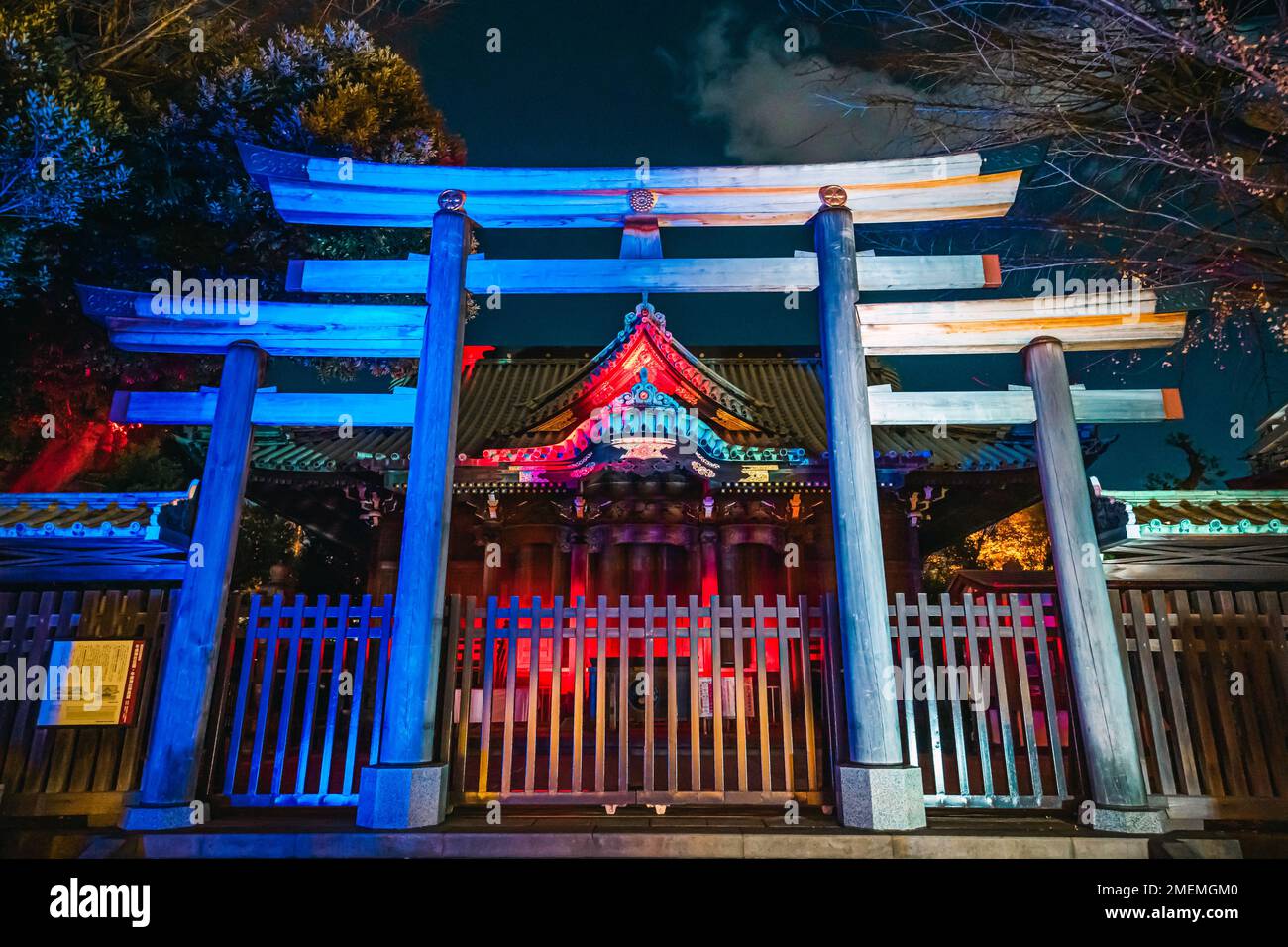 Winter lights at Ushijima Shrine 2023 Stock Photo - Alamy