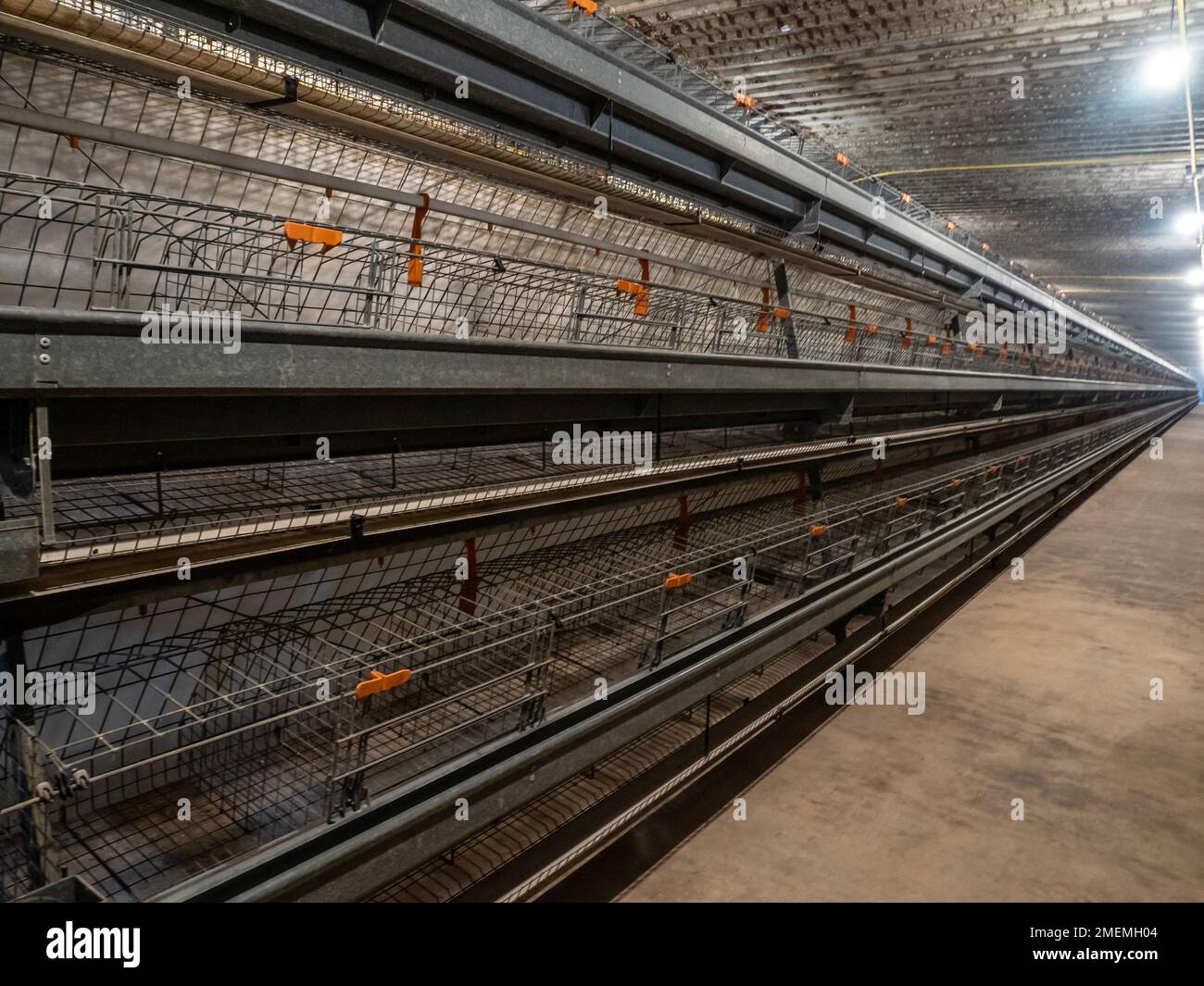 The empty laying cages in the chicken farm Stock Photo - Alamy