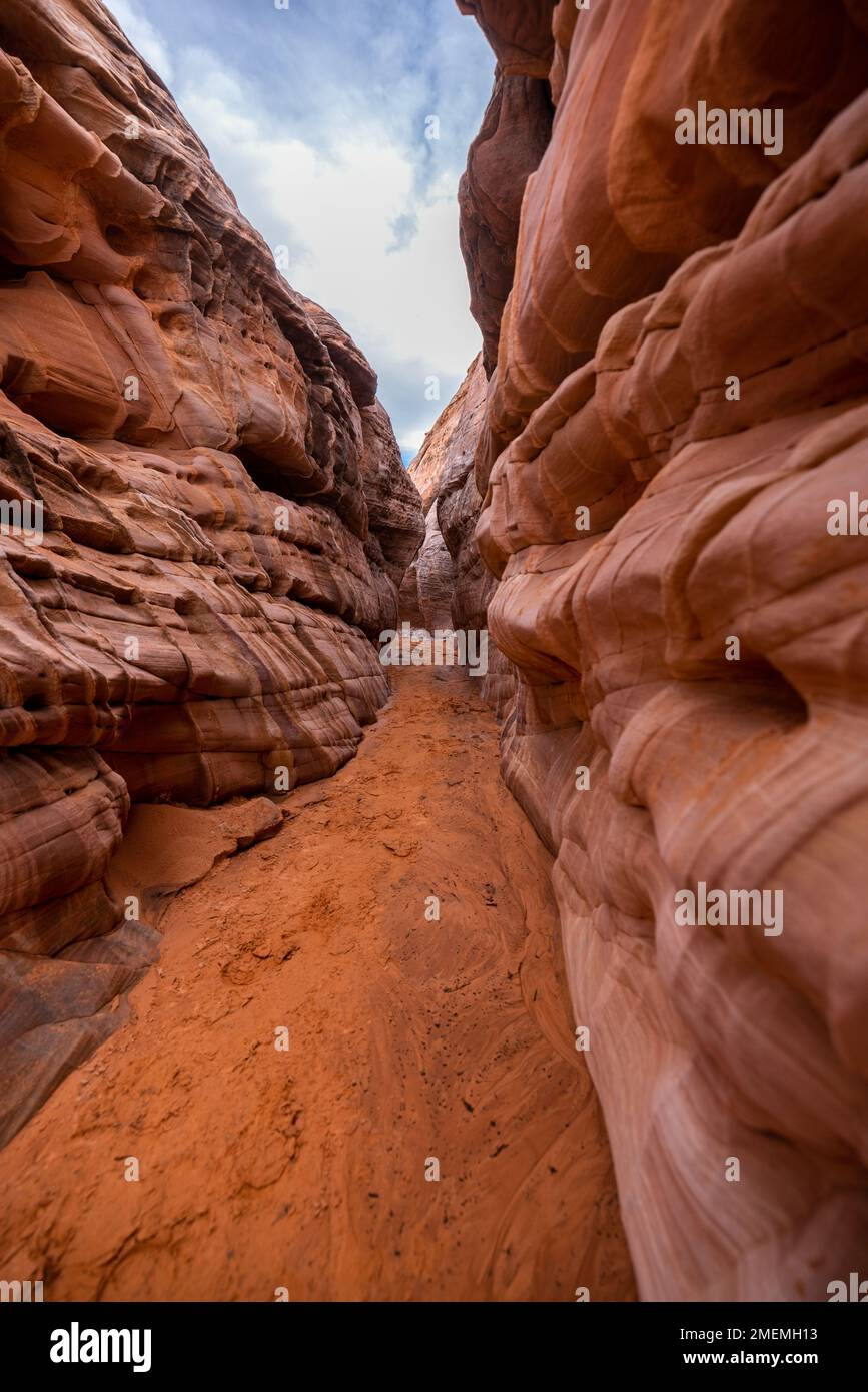 A vertical shot of a pathway in the desert at sunrise at Valley of Fire ...
