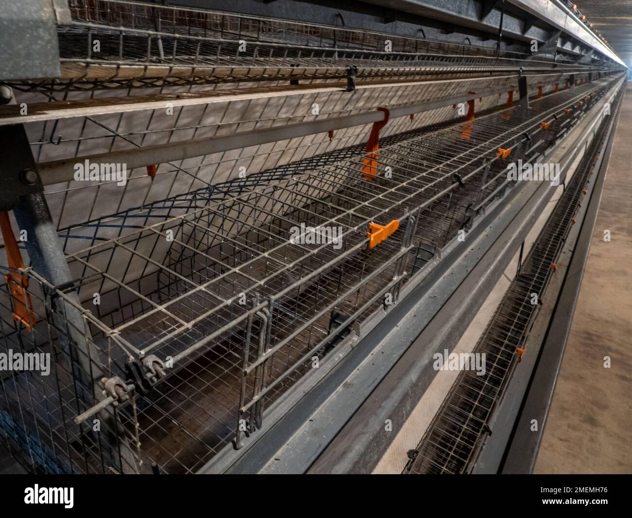 The empty laying cages in the chicken farm Stock Photo - Alamy