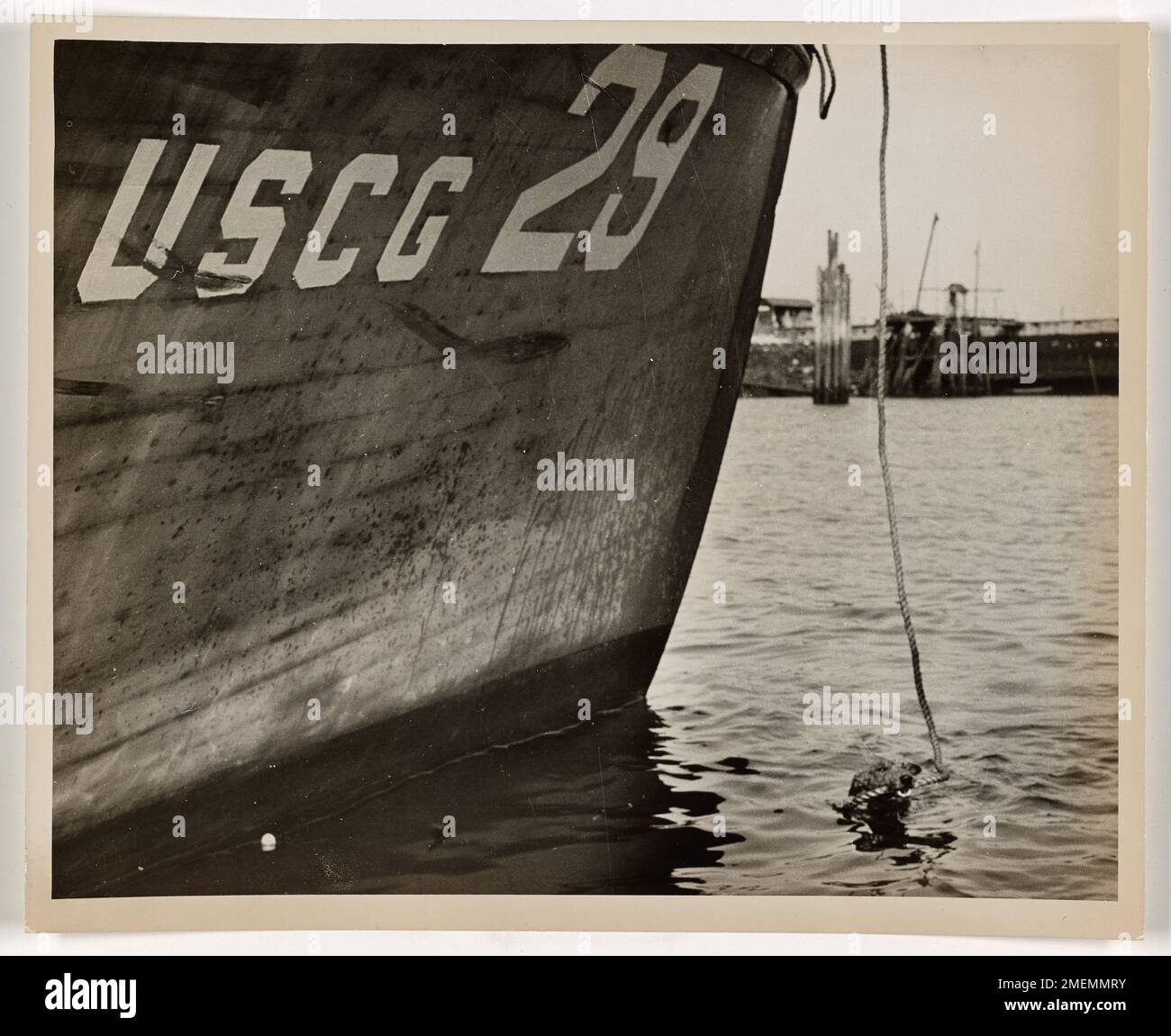 Pete the Pooch, a wire-haired fox terrier, becomes an unlikely but ...