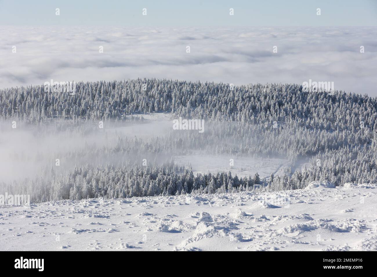 Schierke, Germany. 24th Jan, 2023. Wintery presents the Brocken summit ...