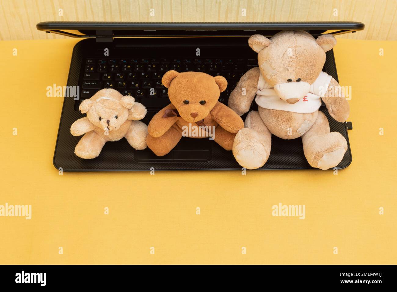 Funny teddy bears are sitting on a laptop, copy space Stock Photo - Alamy