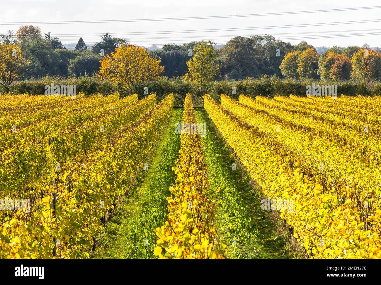 Halnaker west sussex hi-res stock photography and images - Alamy