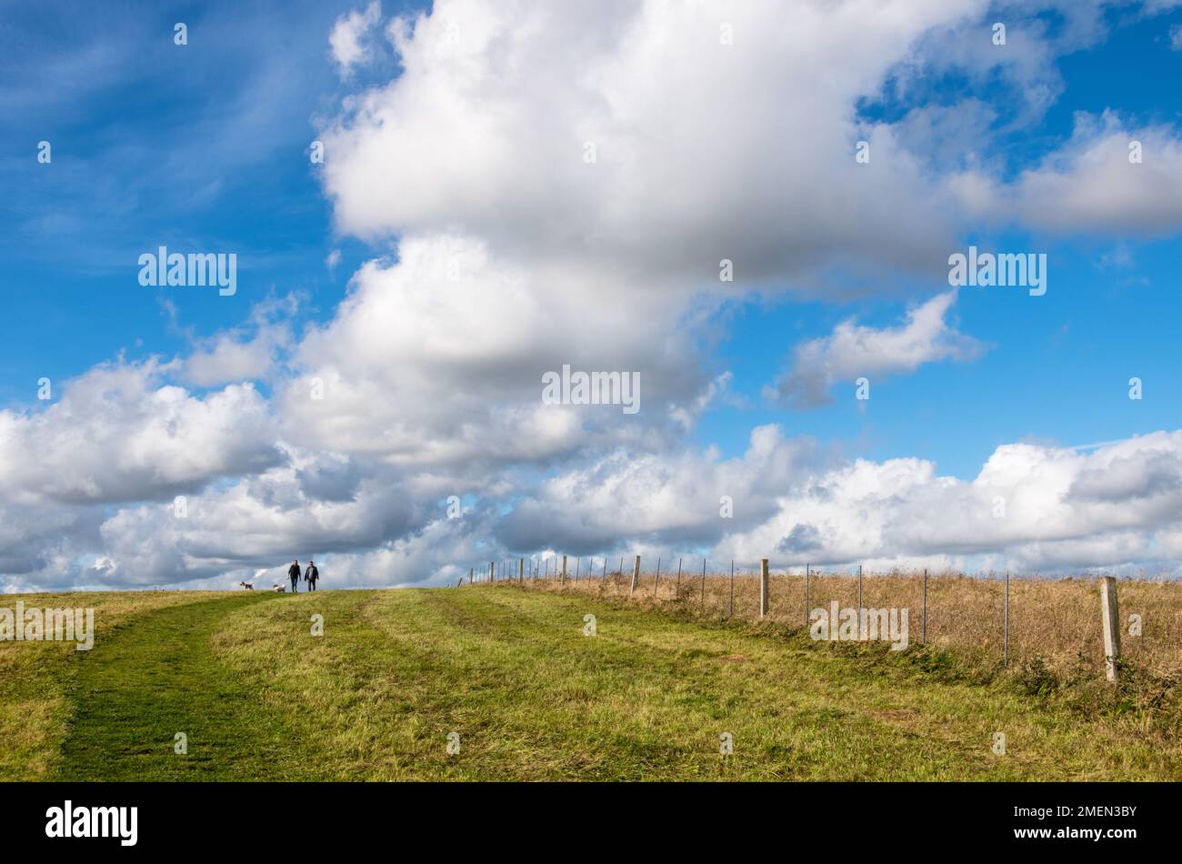 Halnaker hill hi-res stock photography and images - Alamy