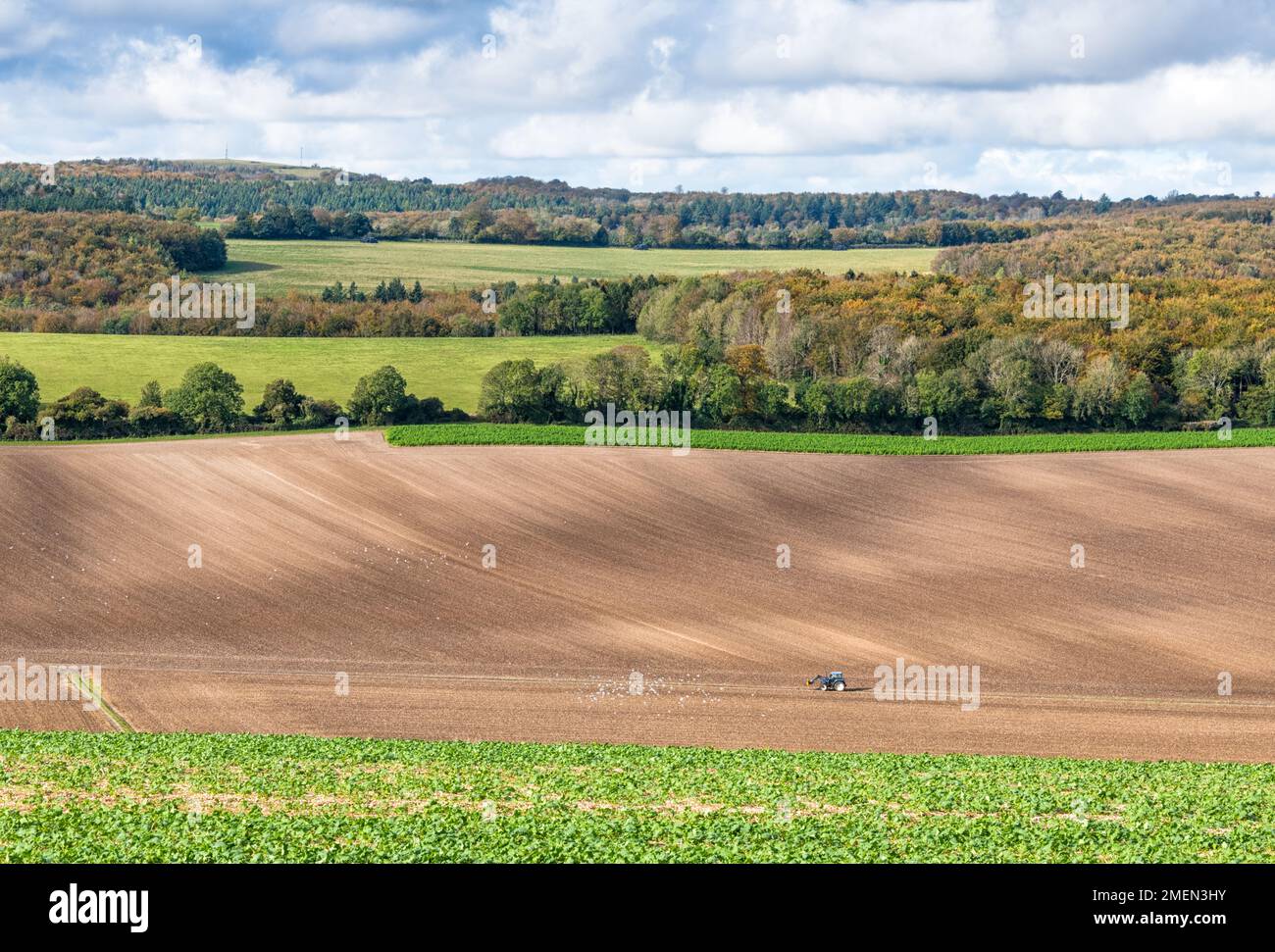 Halnaker hill hi-res stock photography and images - Alamy