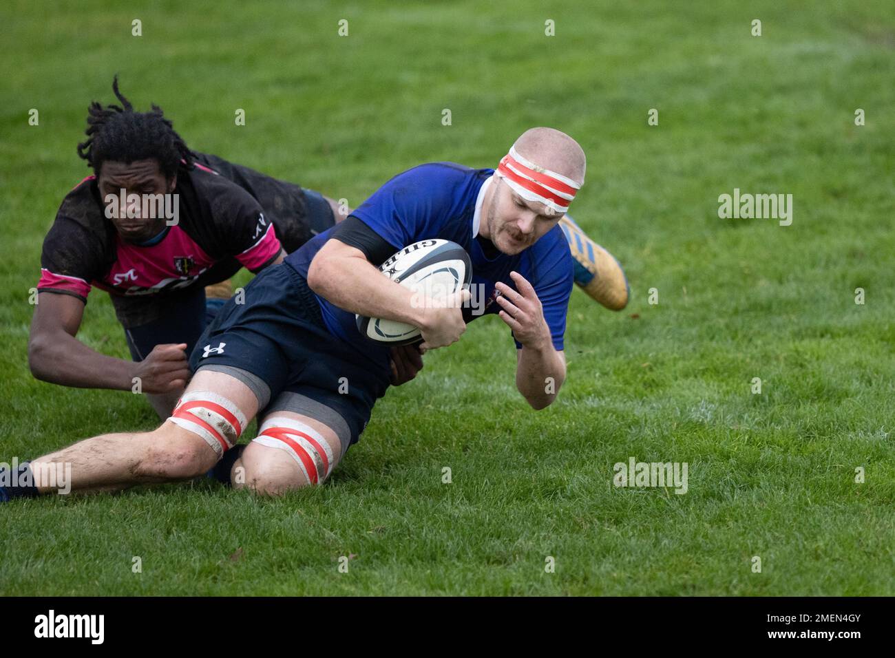 Rugby match, rugby game, rugby player, rugby scrum, rugby tackle, rugby ...