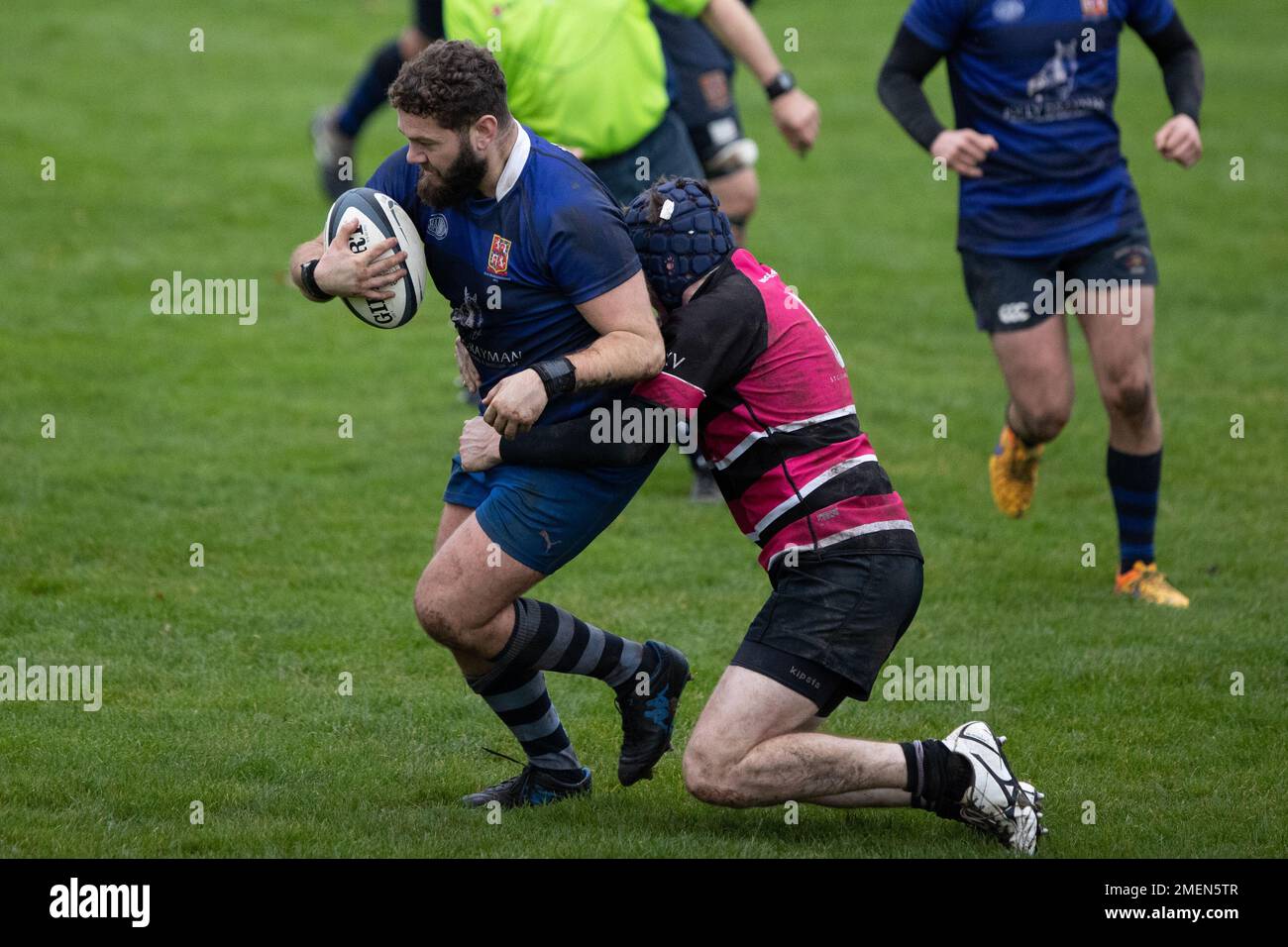 Rugby match, rugby game, rugby player, rugby scrum, rugby tackle, rugby ...