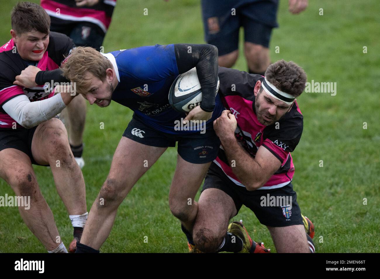 Rugby match, rugby game, rugby player, rugby scrum, rugby tackle, rugby ...
