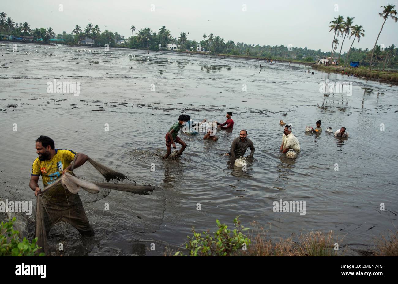 People fish at a tidal swamp after water is drained at the end of prawn ...