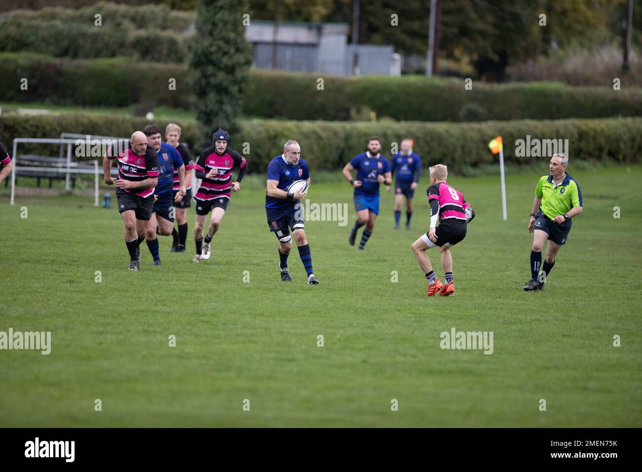 Rugby match, rugby game, rugby player, rugby scrum, rugby tackle, rugby ...