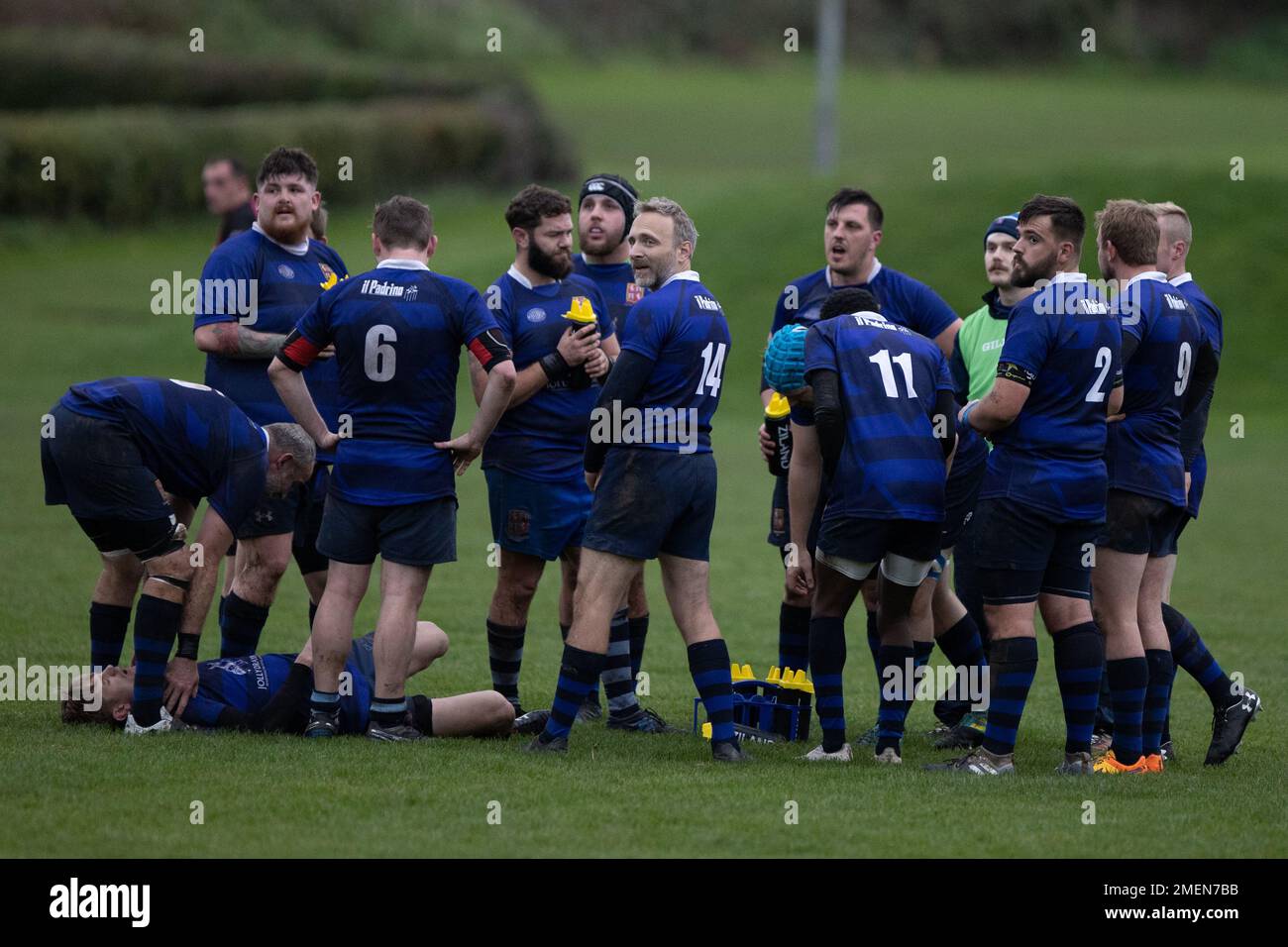 Rugby match, rugby game, rugby player, rugby scrum, rugby tackle, rugby ...