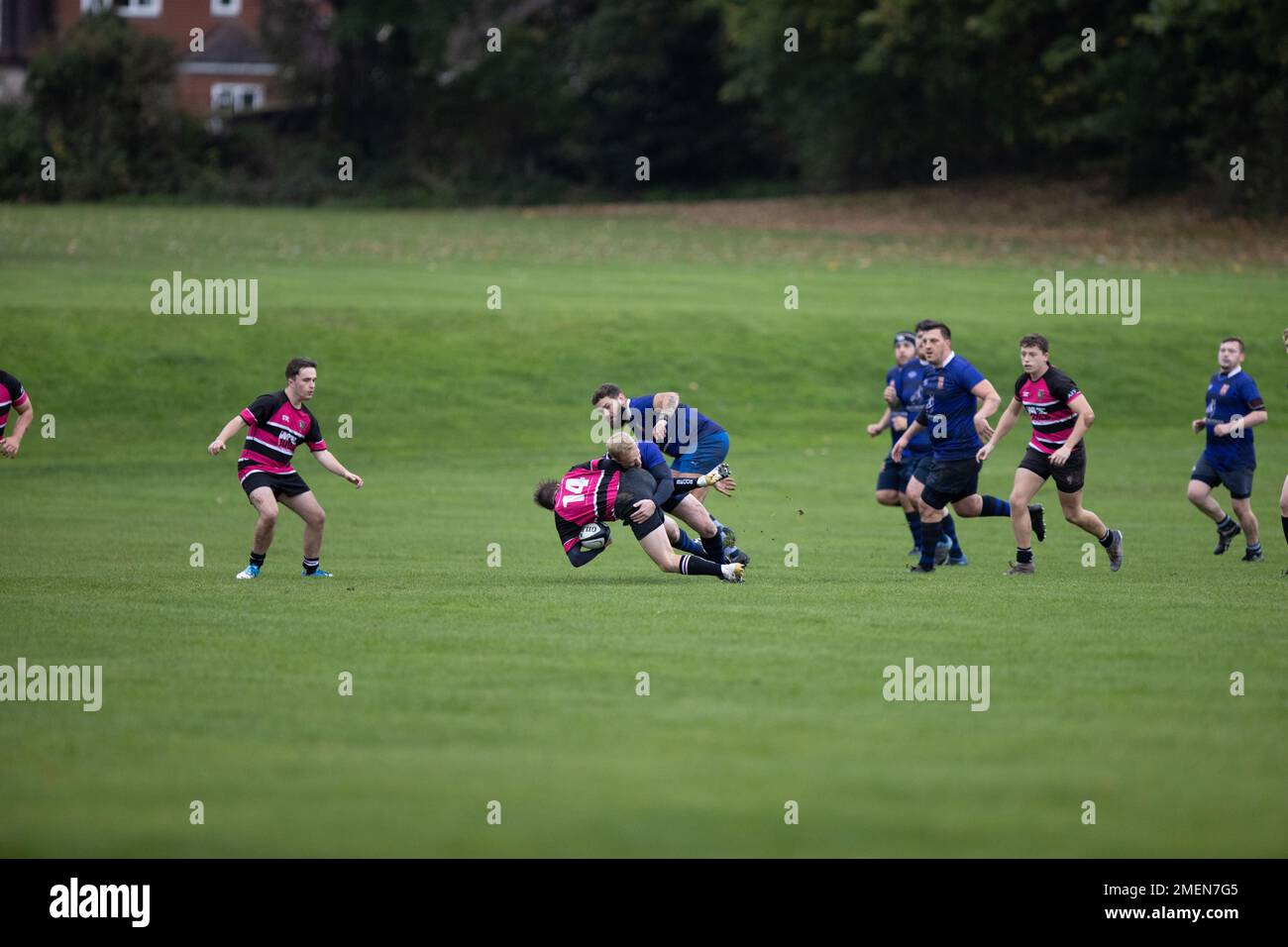 Rugby match, rugby game, rugby player, rugby scrum, rugby tackle, rugby ...