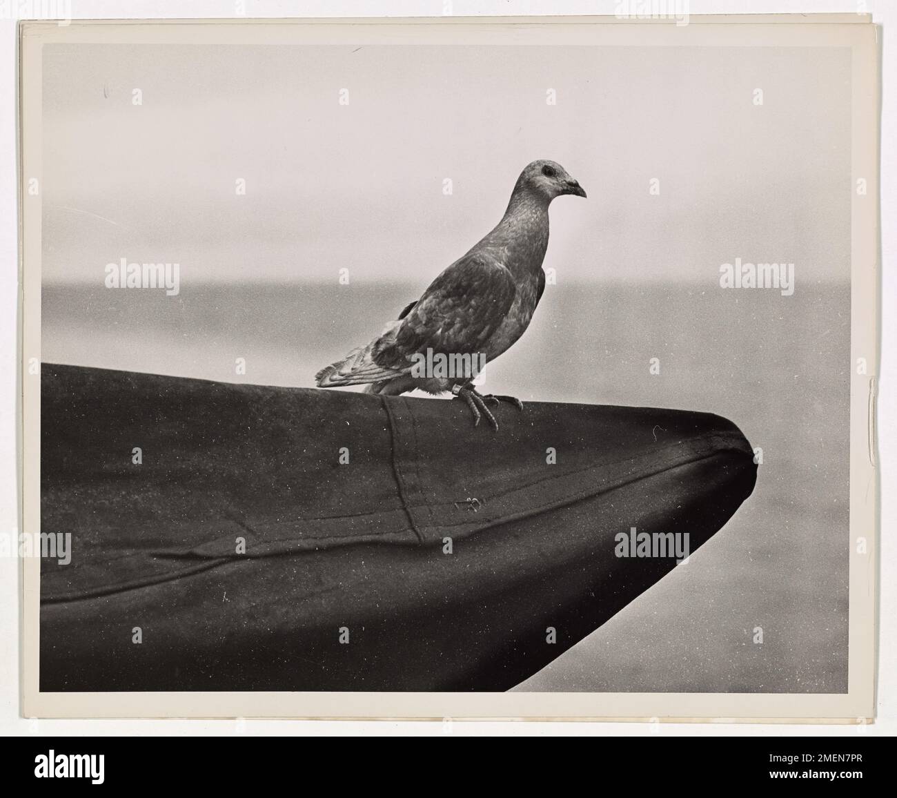 A Coast Guard-manned troop transport from Europe to the U.S. becomes ...